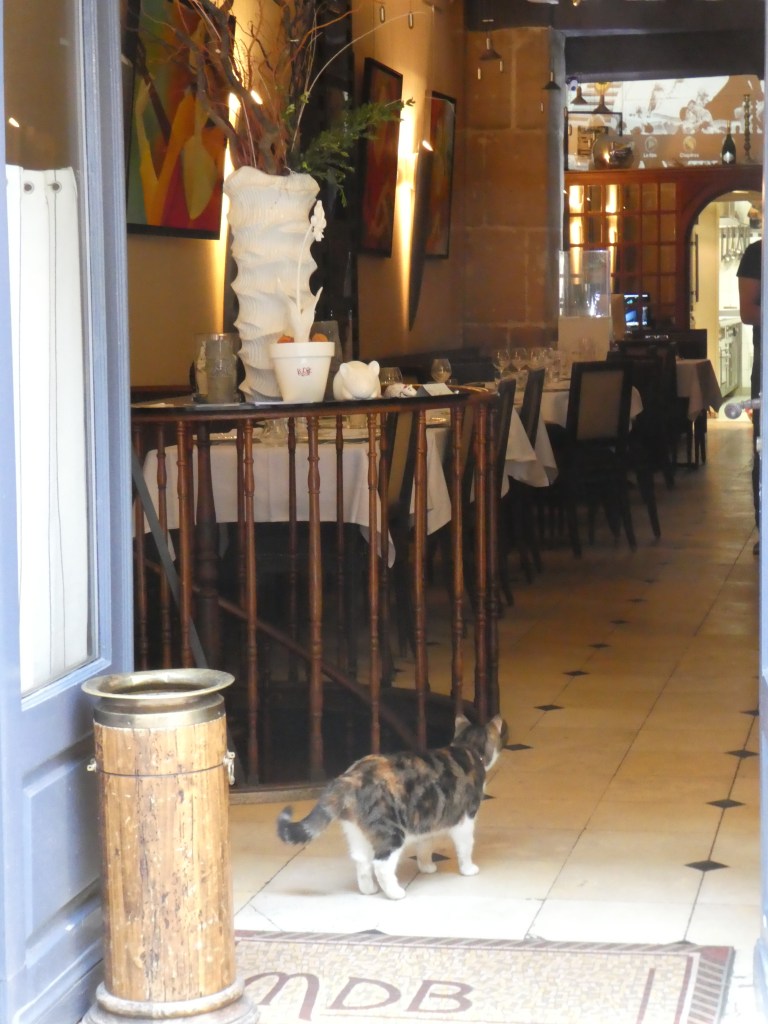 (Scarce) Paris Cats – I Love Paris in the Springtime